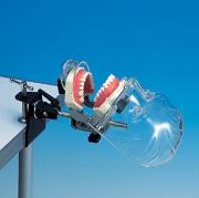 Phantom Head Dental Ltd | Findtheneedle | Company Profile